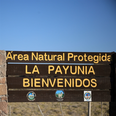 Nuevas tierras públicas dentro de La Payunia para conservar al guanaco ...
